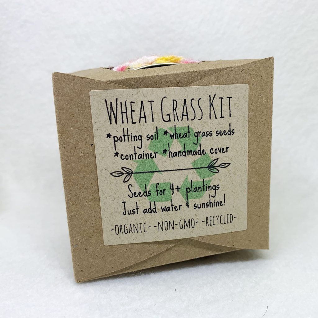 Wheat Grass Kits – Made by Tricia